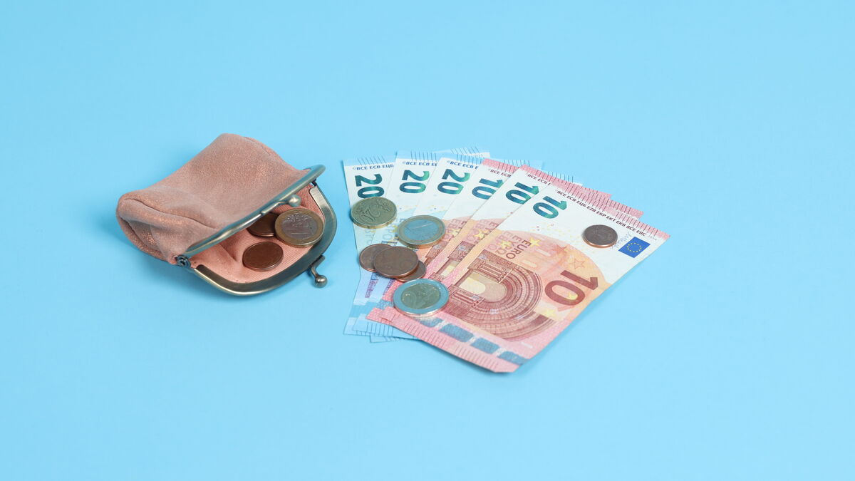 Un virement de 212 euros pour 56 millions de Français : qui est ...